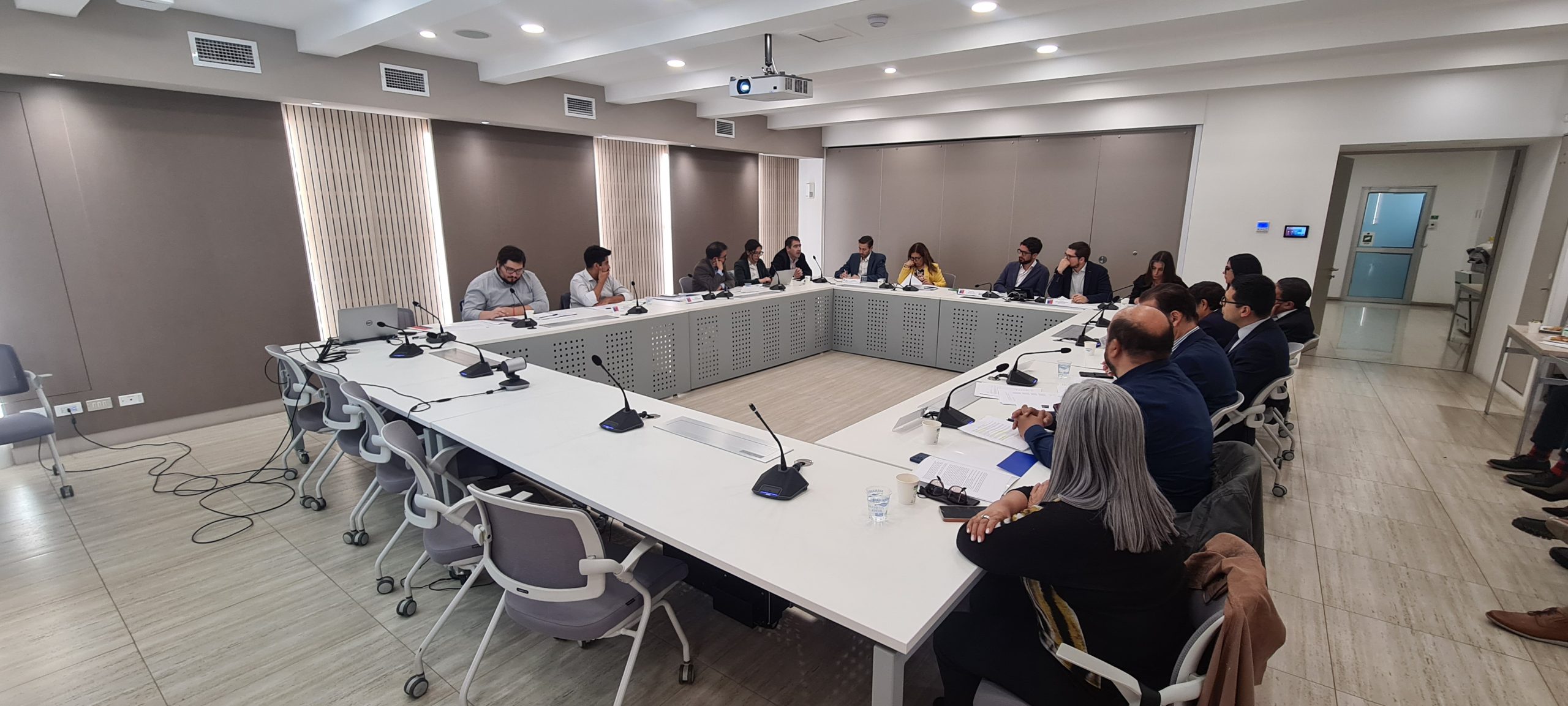 Director del OCEC UDP es designado miembro de la Comisión Asesora ...